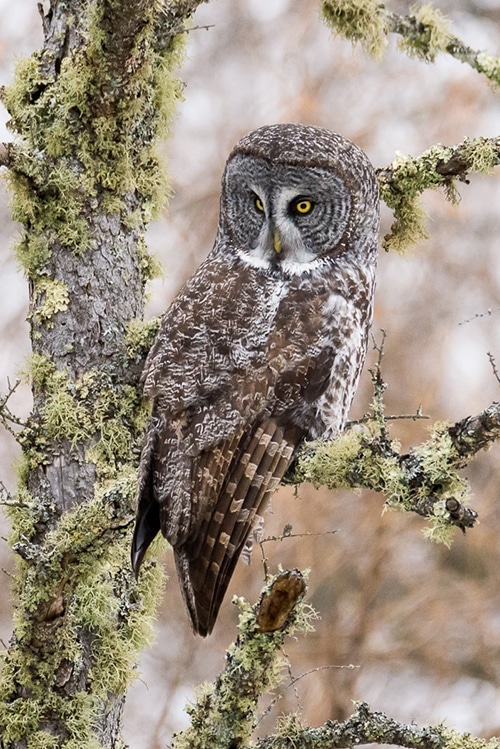 Amber Nichols Considers Herself an “All-Around Photographer ...