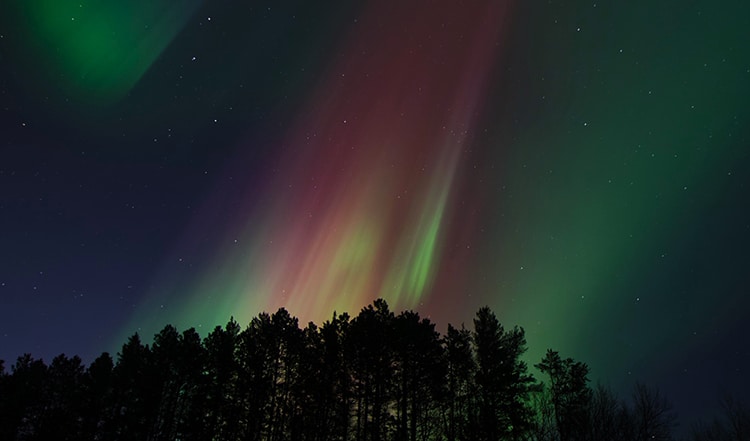 Amber Nichols Considers Herself an “All-Around Photographer ...