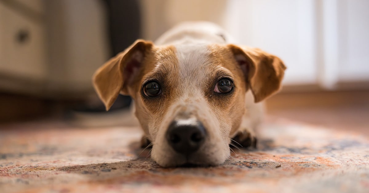 Photographer Steve Mattson Considers Himself a Jack of All Trades ...