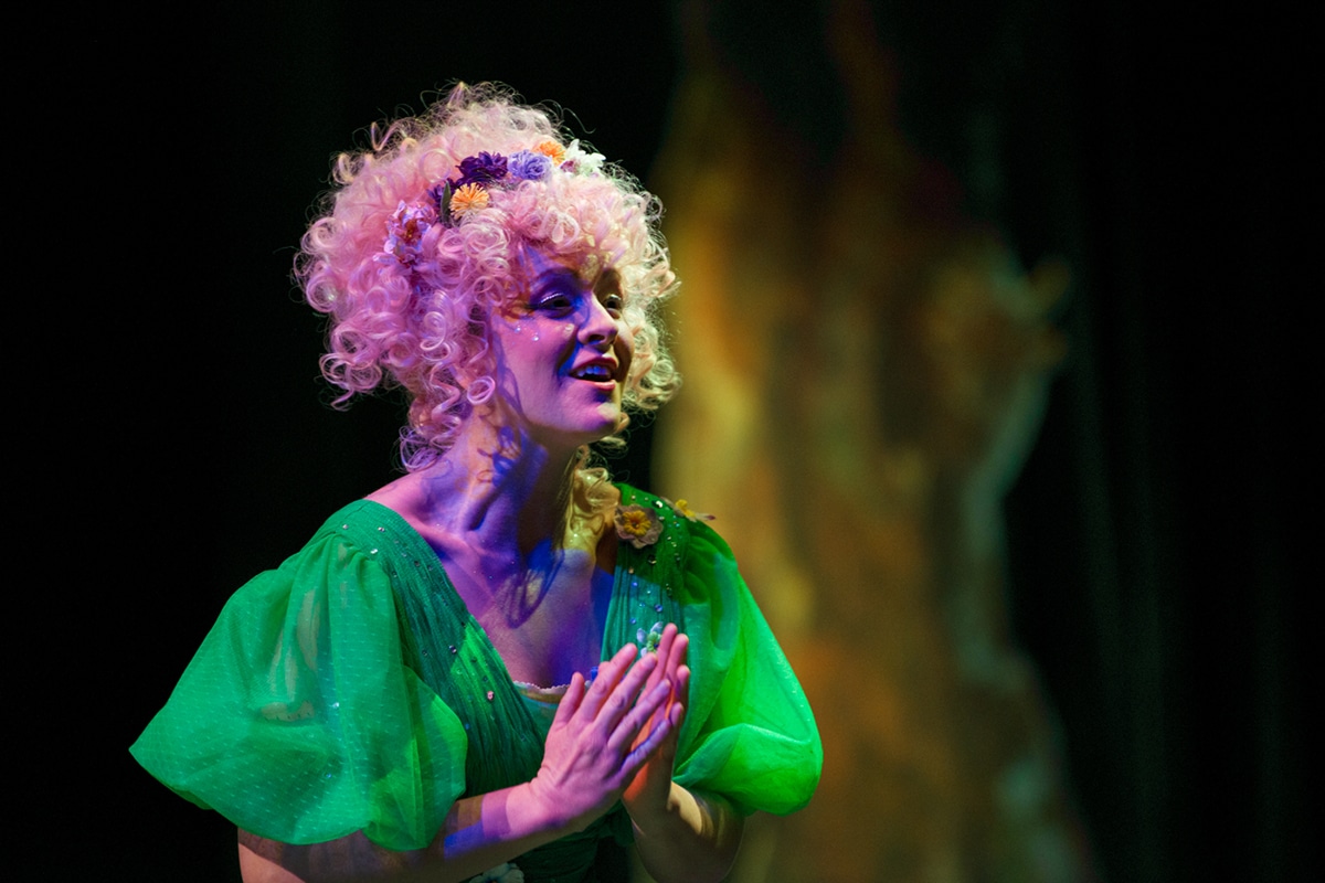 Home - Destination Duluth