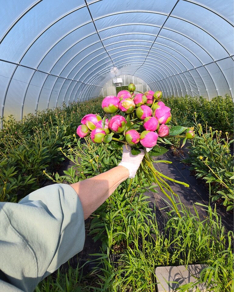Duluth Flower Farm Offering Finish Line Flowers - Destination Duluth