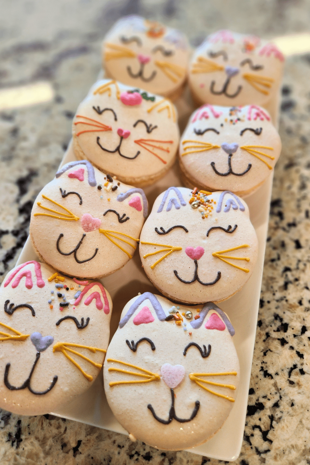 Wired Whisker Come for the Coffee; Stay for the Cats - Destination Duluth