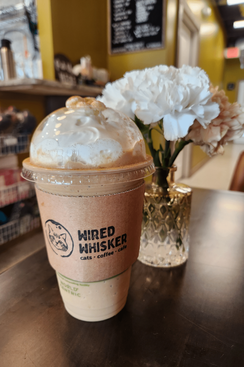 Wired Whisker Come for the Coffee; Stay for the Cats - Destination Duluth