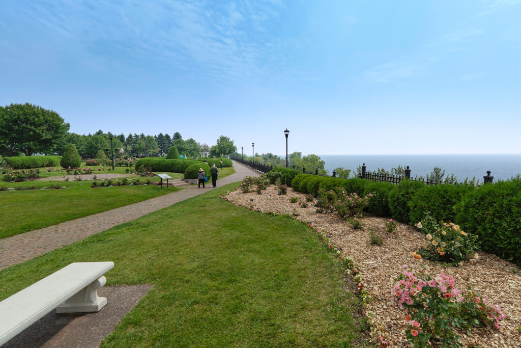 LOYL – Experience Leif Erikson Rose Garden in Full Bloom - Destination ...
