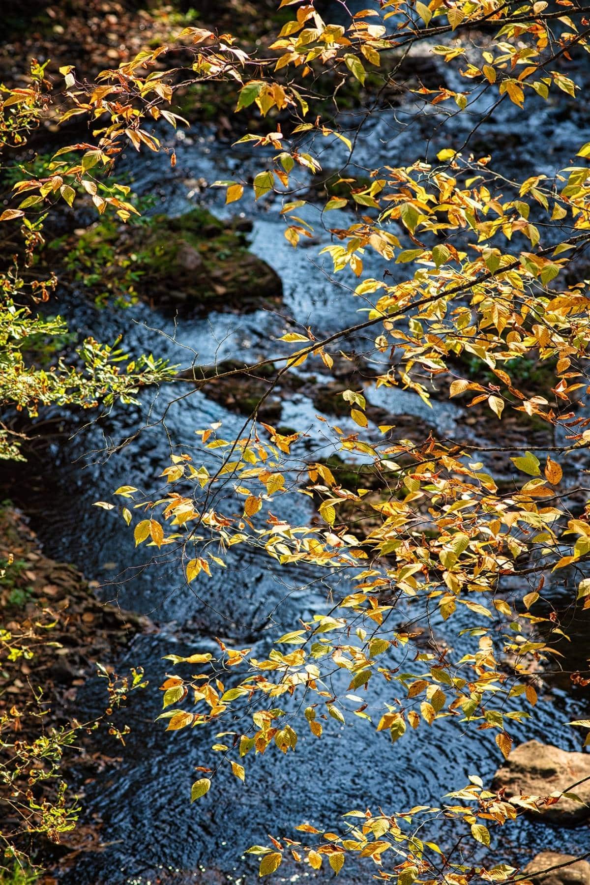 Explore Duluth’s Fall Colors Along the Lakewalk - Destination Duluth