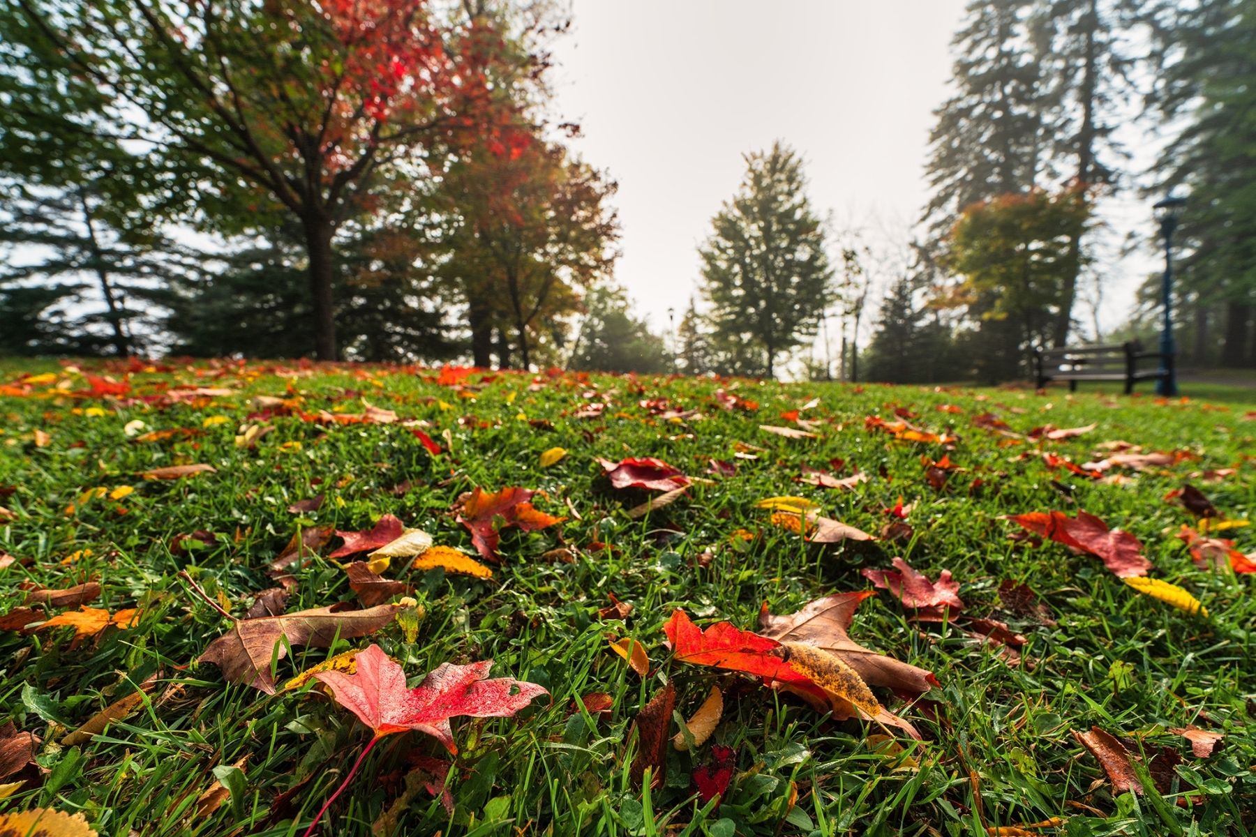 Explore Duluth’s Fall Colors Along the Lakewalk - Destination Duluth